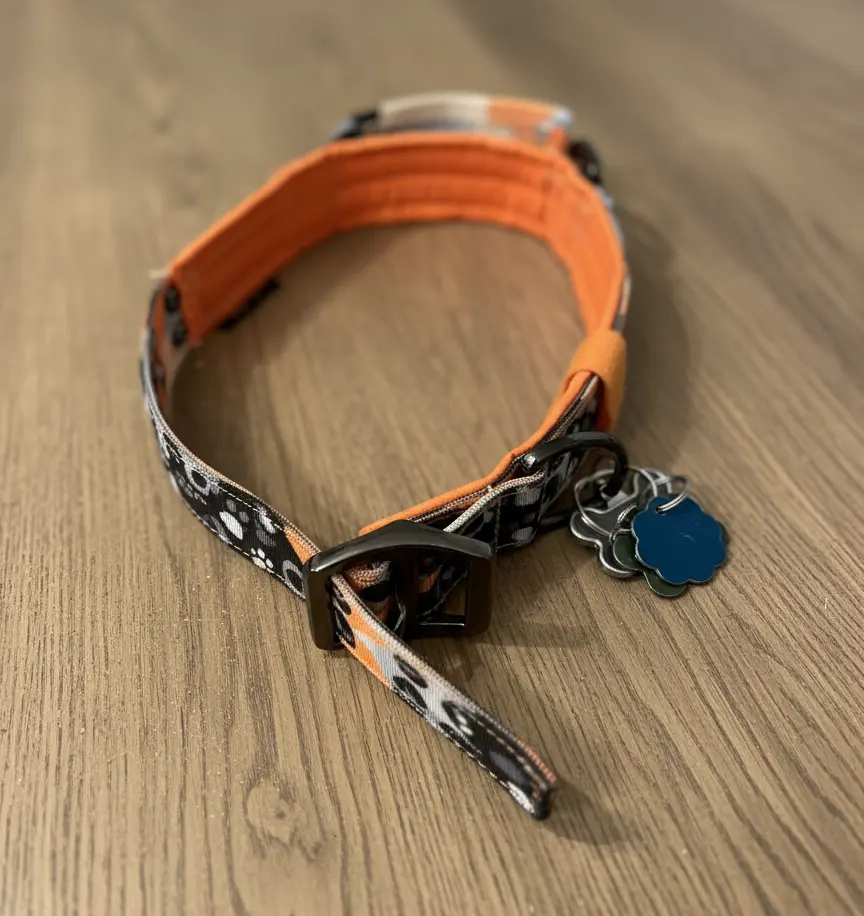 Top 5 Dog Collars for Labs: Best Picks for Every Budget